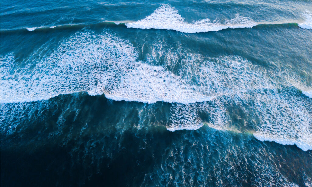 Ripple Impact Grant Application - Carbon to Sea Initiative